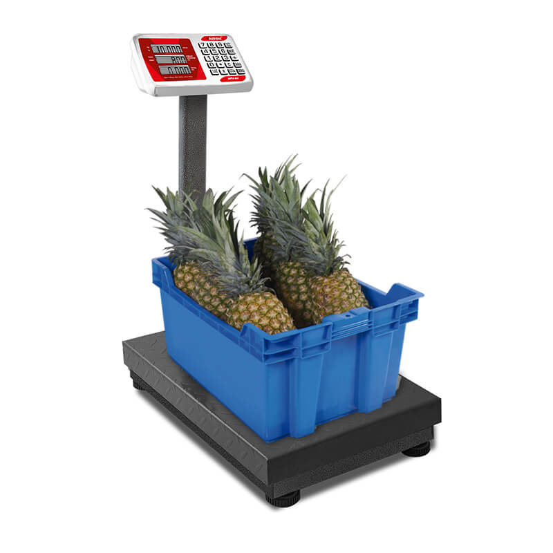 Vinson BAPLE-400 Báscula Plataforma Acero Carbono Plegable 400 kg – INMEZA